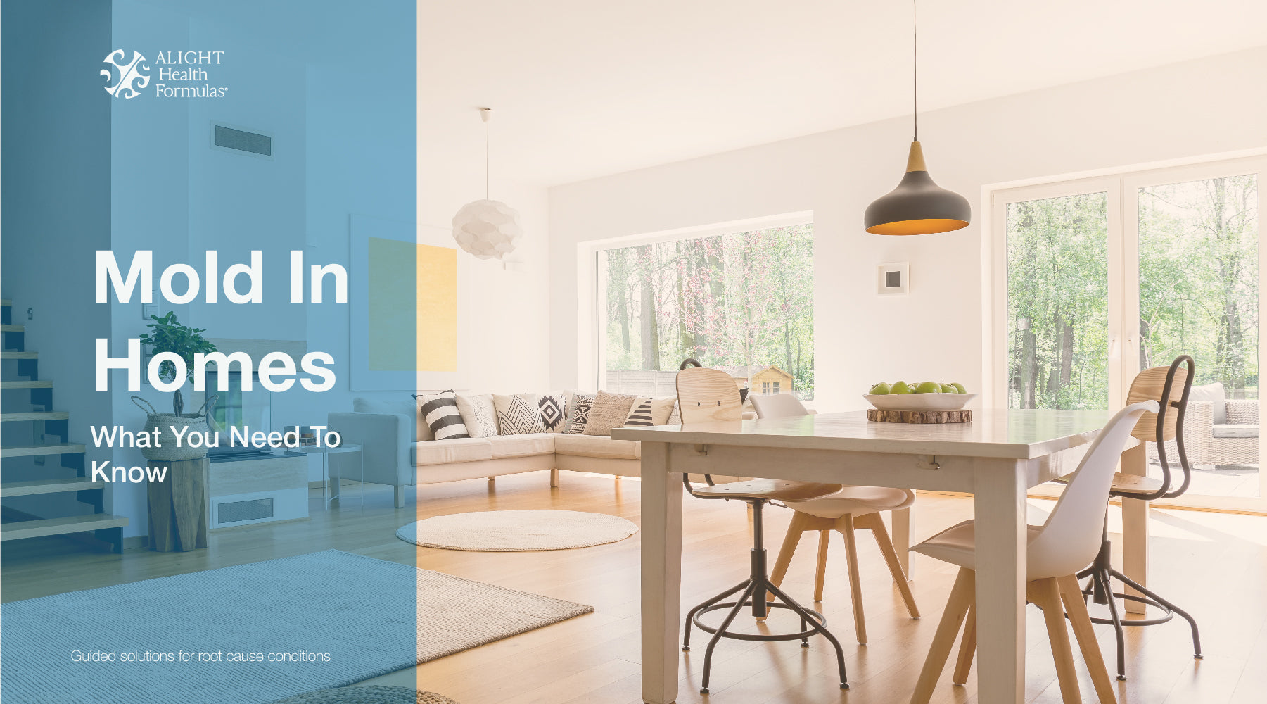 Mold in Homes: What You Need to Know – Alight Health Formulas