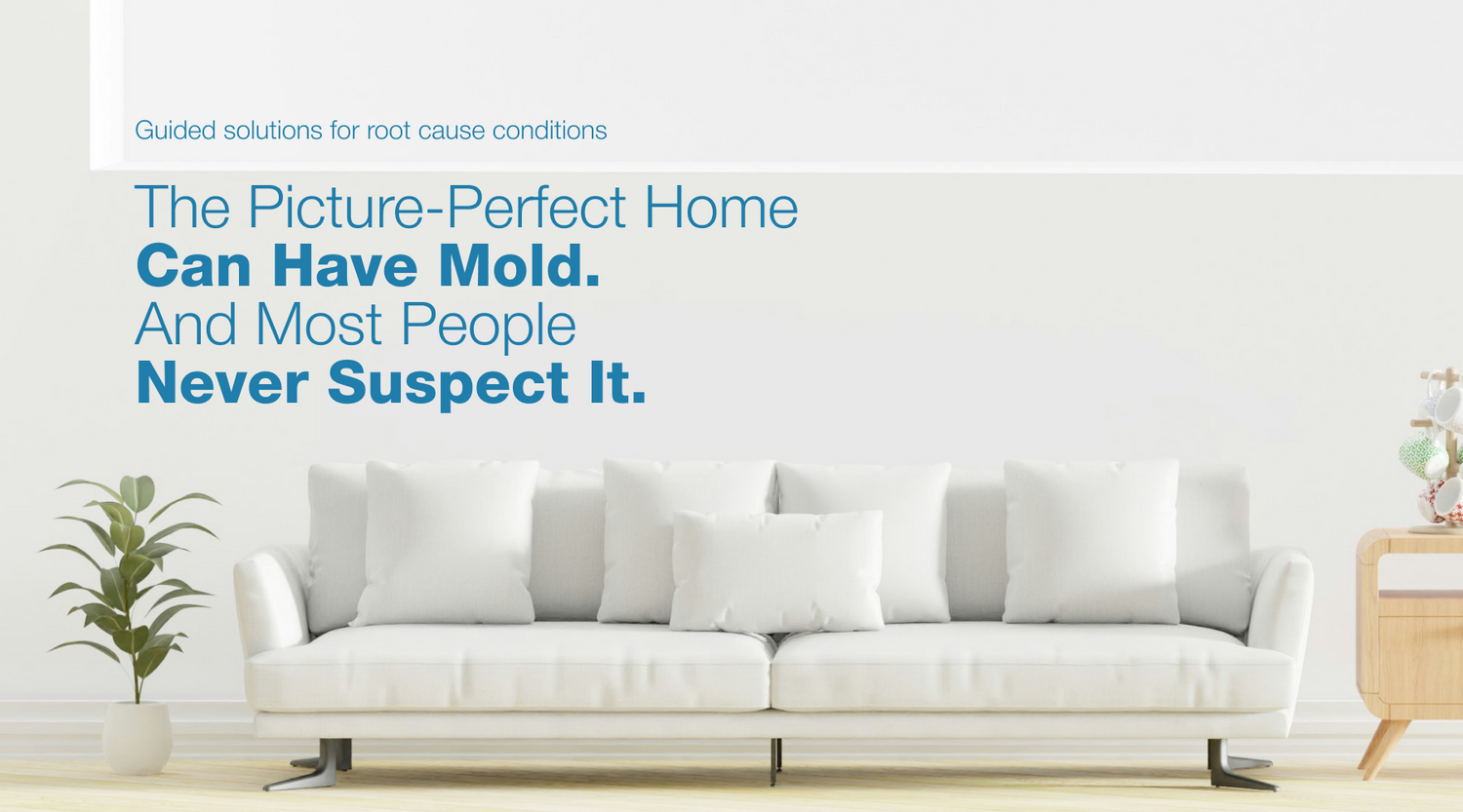 Why Bile Flow Matters for Mold Recovery and How to Support It Naturall ...